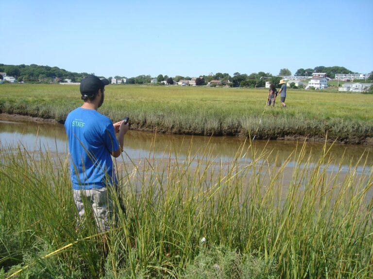 Salt Marsh Projects - Salem Sound Coastwatch